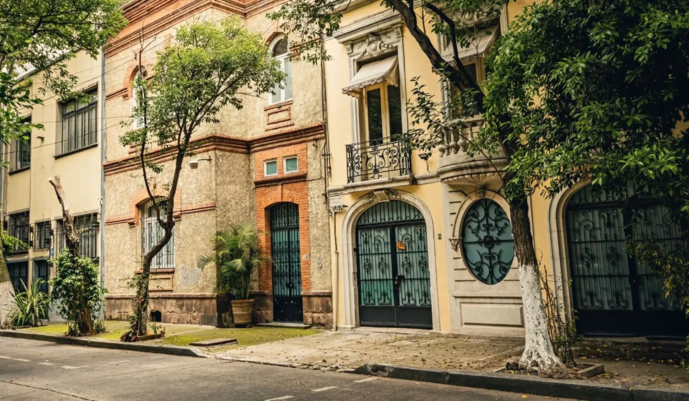 Disfruta la Roma Norte como un local | colima 71